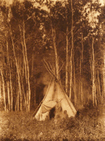 North American Indian: Photos by Edward S. Curtis | University of ...