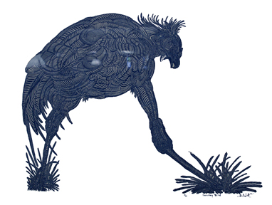 Linocuts by David E. Schendel | University of Arkansas Libraries