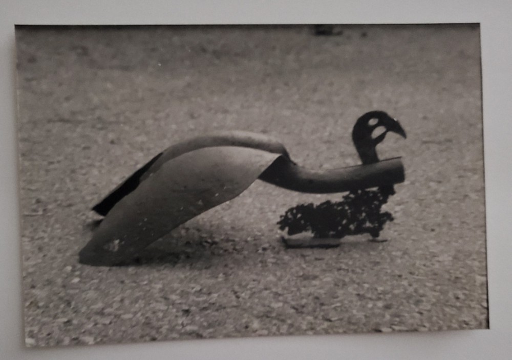 Steve Chism: Selected Works | University of Arkansas Libraries